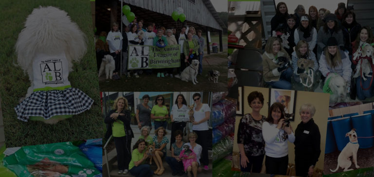 The Animal League of Birmingham